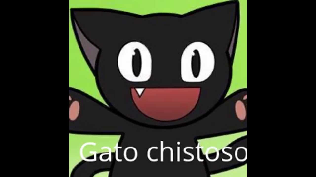 Gato Chistoso te da la bienvenida - YouTube