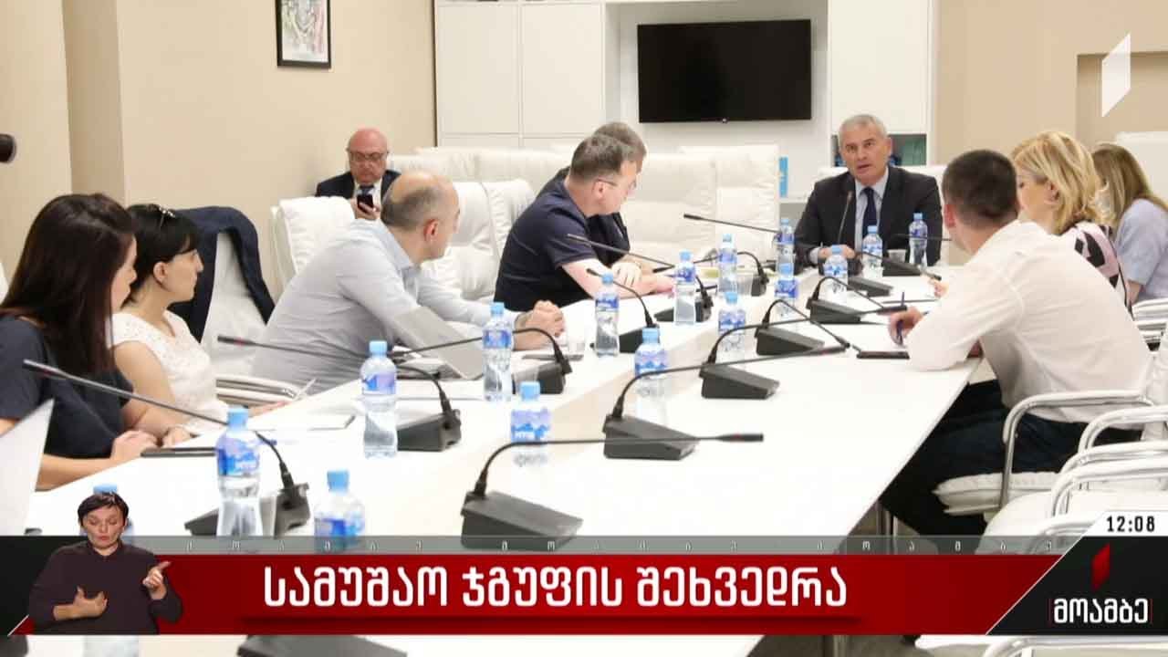 სამუშაო ჯგუფის შეხვედრა Youtube