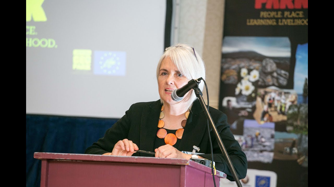 Carol Gleeson, Manager, Burren and Cliffs of Moher Geopark - YouTube