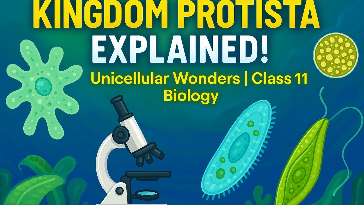 "Kingdom Protista Explained in 5 Minutes | Simple & Easy" - YouTube