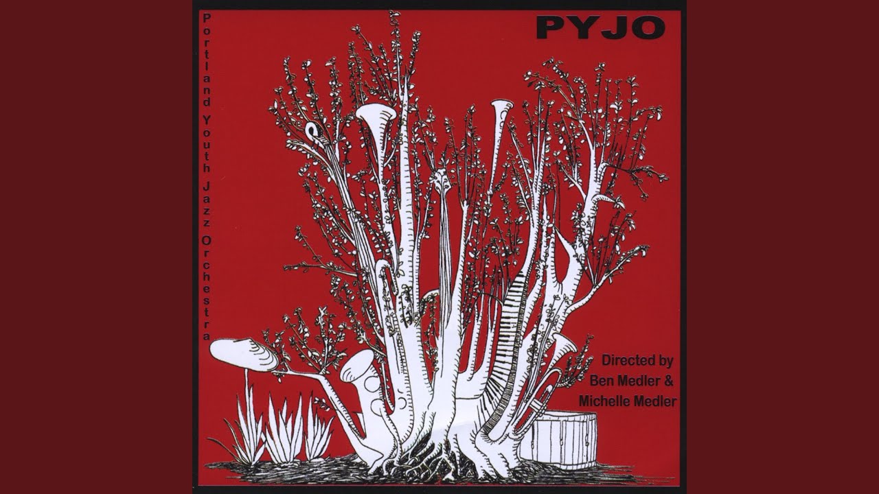 Funky Camels - YouTube