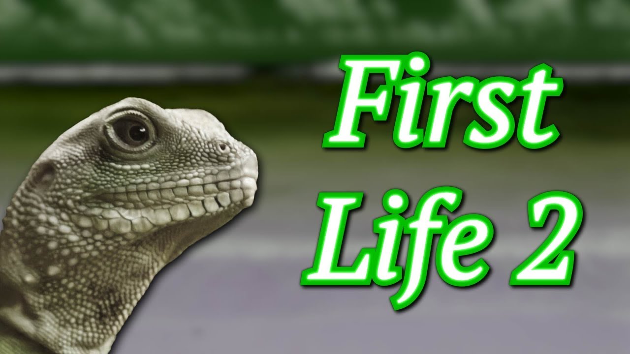 first life 2 - YouTube