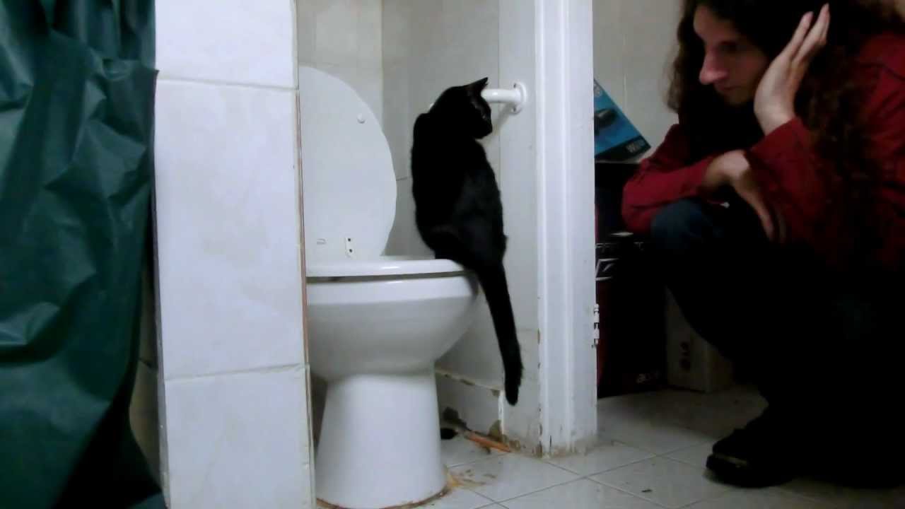 Decker Shado Moves - YouTube