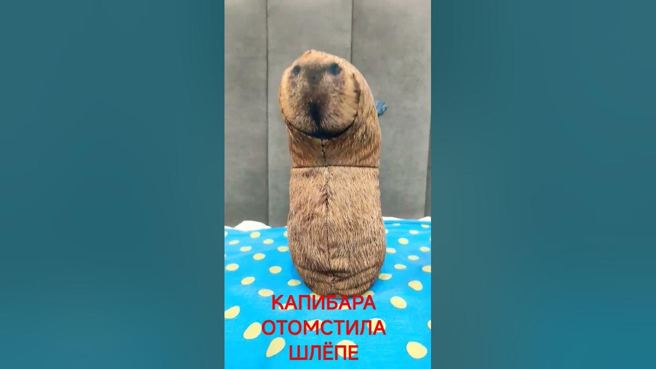 КАПи БАРА ОТМСТИЛА ШЛЁПЕ?!#БЛОП ТОП - YouTube