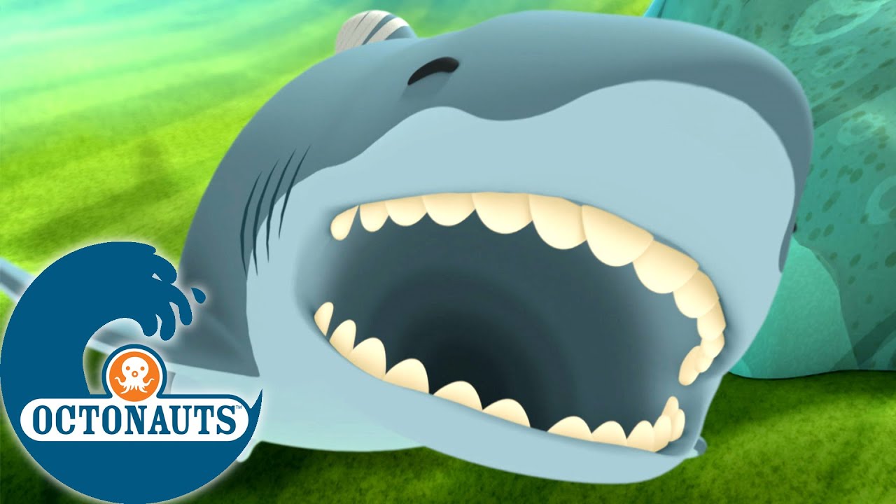 Octonauts - Le grand requin blanc et les crabes des cocotiers | Dessins ...
