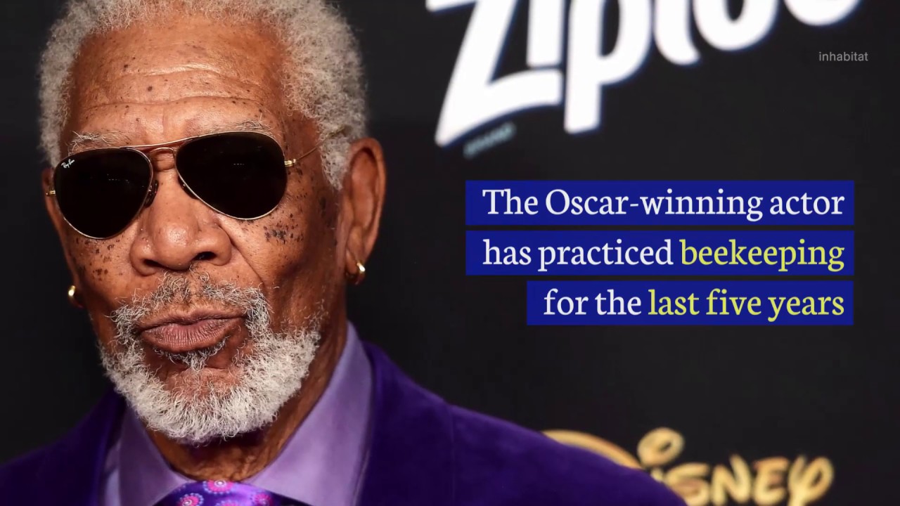 Morgan Freeman Converts Private Ranch Into Bee Sanctuary - YouTube