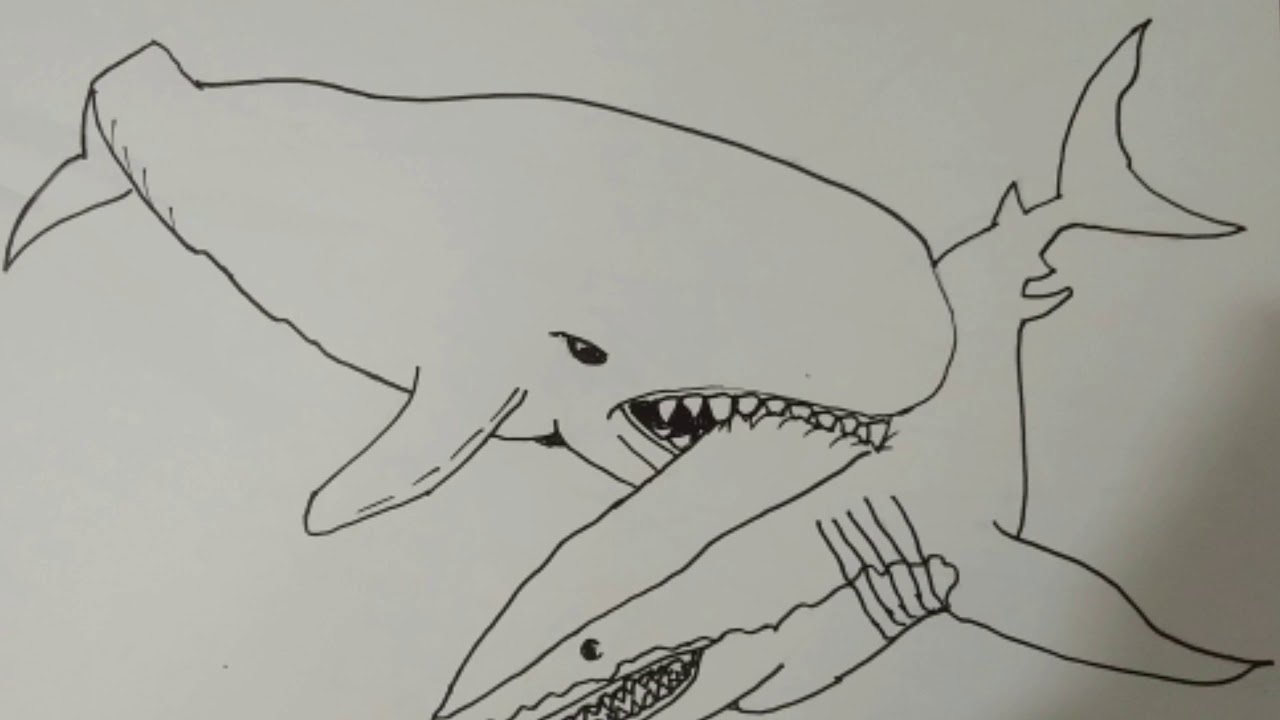 Drawing compilation for kids(para sa mga bata) - YouTube