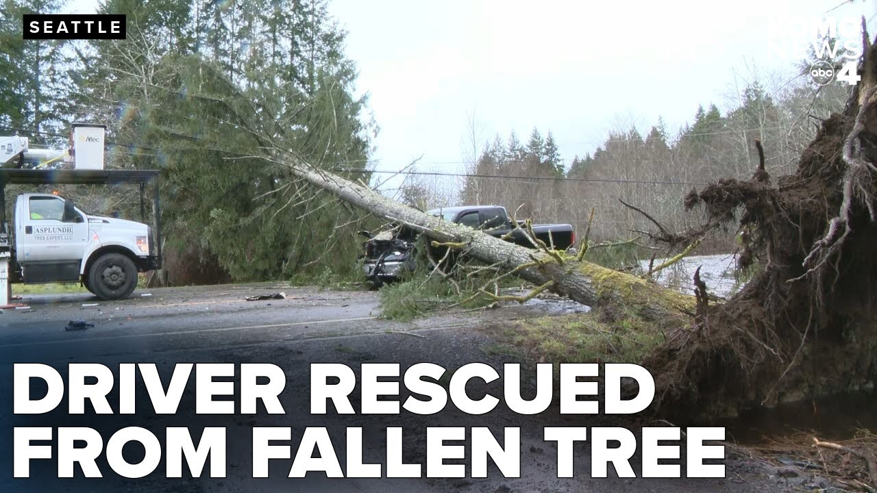 KOMO News photographer helps rescue truck driver trapped by fallen tree ...