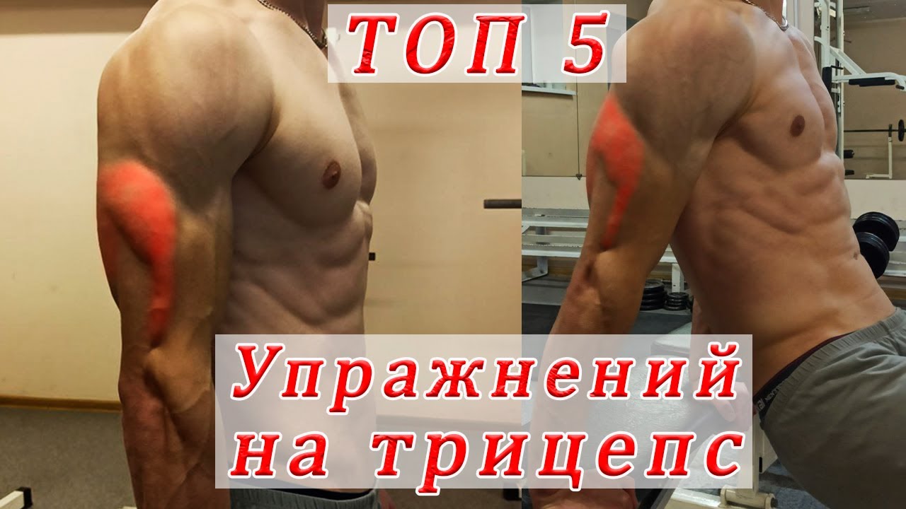 Топ 5 упражнений на трицепс Как накачать трицепс в домашних условиях