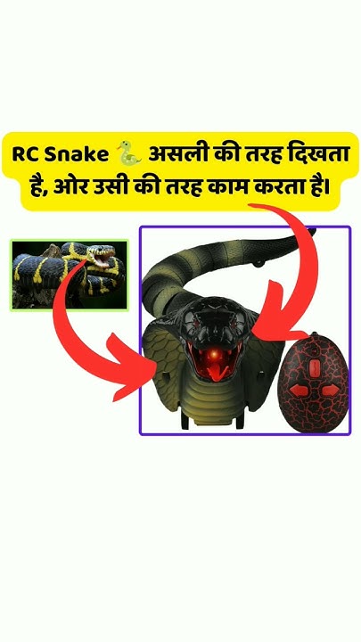 RC Snake 🐍(New Remote Controlled Snake) #shorts #gadgets #snake - YouTube