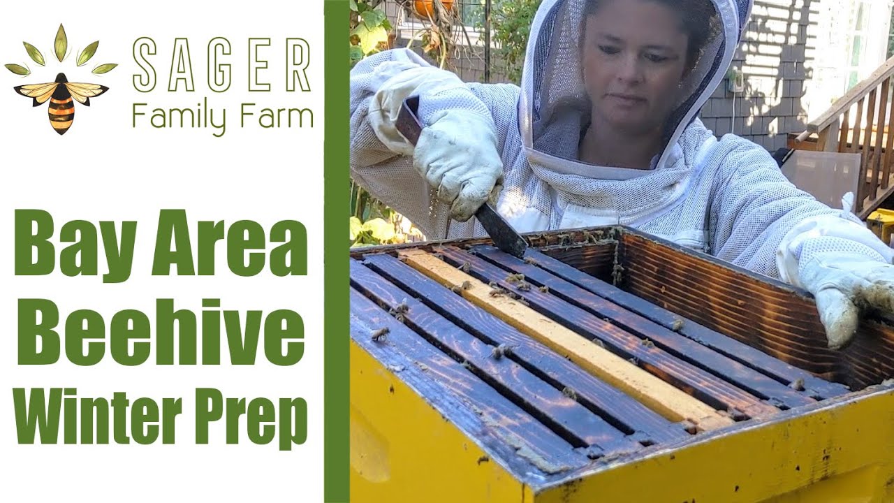 Bay Area Winter Hive Prep | Sager Family Farm - YouTube