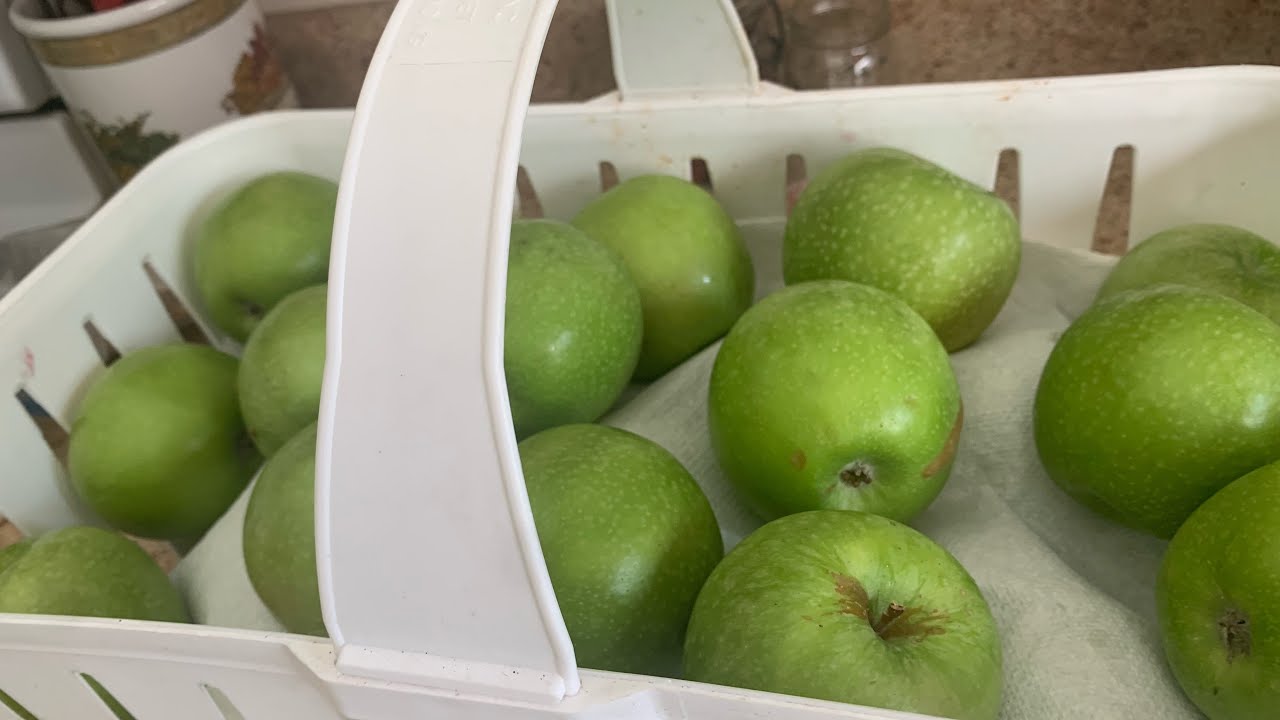 Apples, apples and more apples and a bonus - YouTube