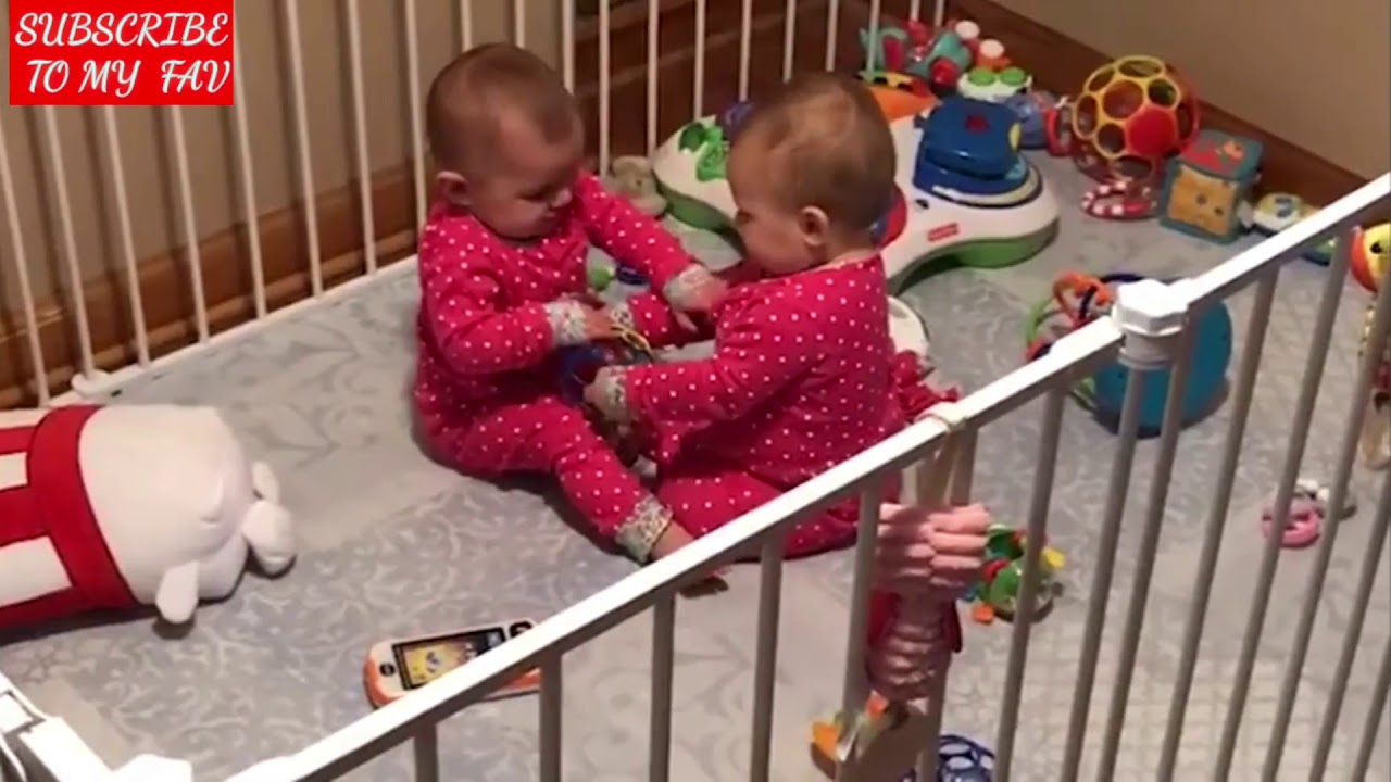 FUNNY TWINS BABY ARGUING OVER EVRYTHING | Funny Babies and Pets - YouTube