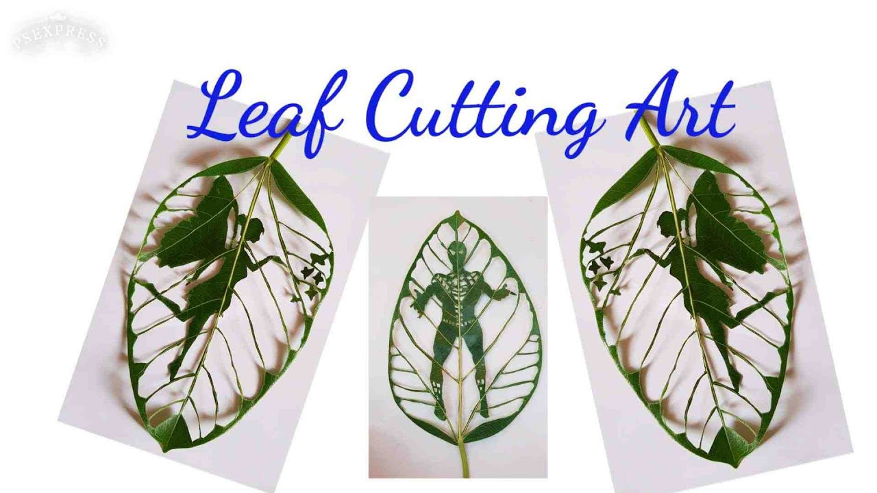 Leaf Cutting Art Fairy Design YouTube leaf-cutting-art-fairy-design-youtube