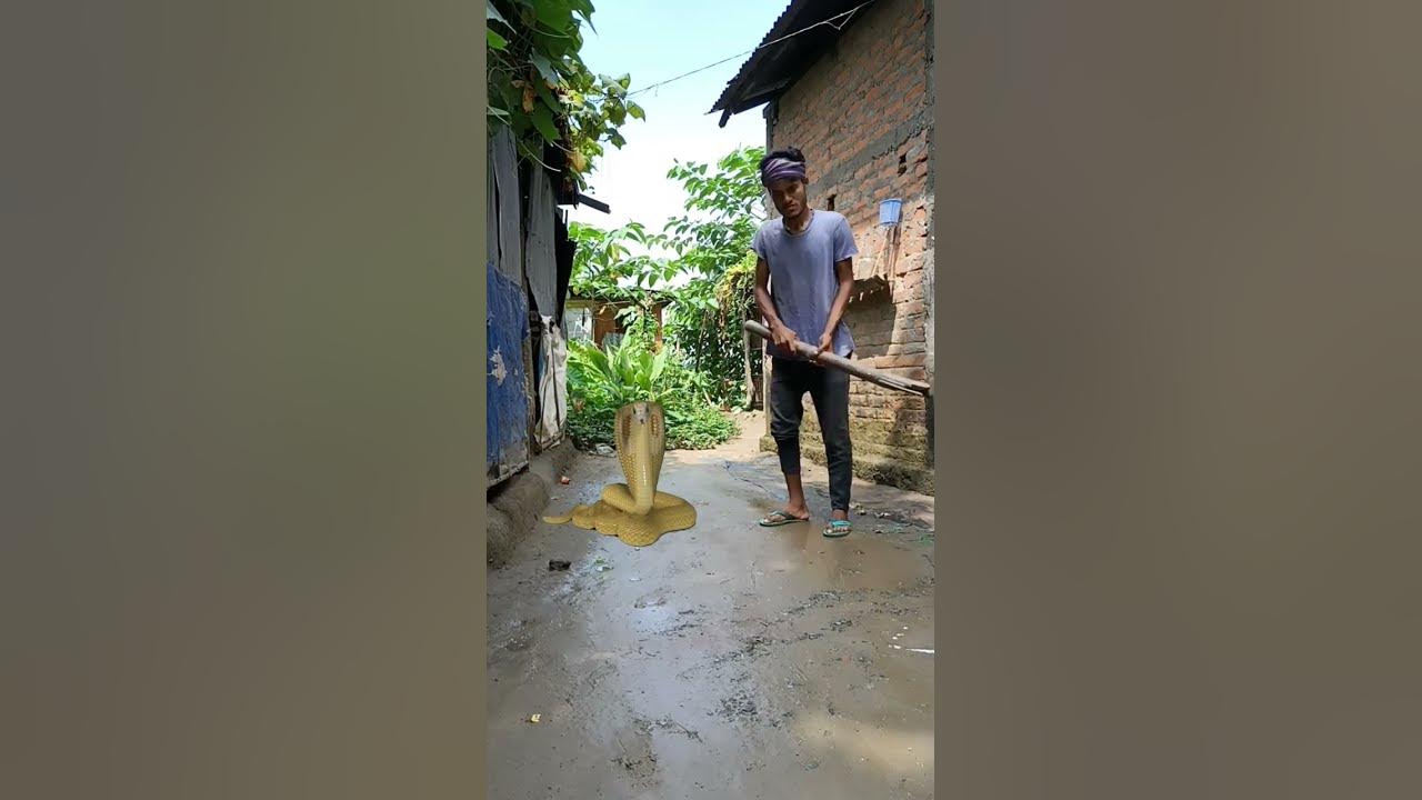 Must Watch New Funny Video 2022 Top New Comedy Video 2022 Try To Not