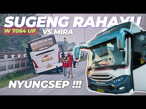 BARU JUGA MULAI UDAH NYUNGSEP | SUGENG RAHAYU W 7064 UP VS MIRA S 7308 US | SURABAYA - SOLO