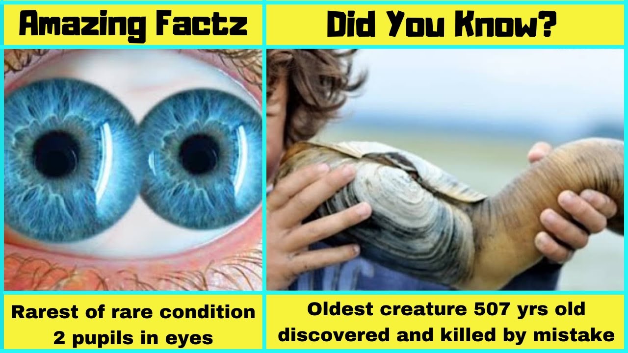 Random Facts You Should Know 🌍 #138 | Did You Know? - Amazing Facts 🔥 ...