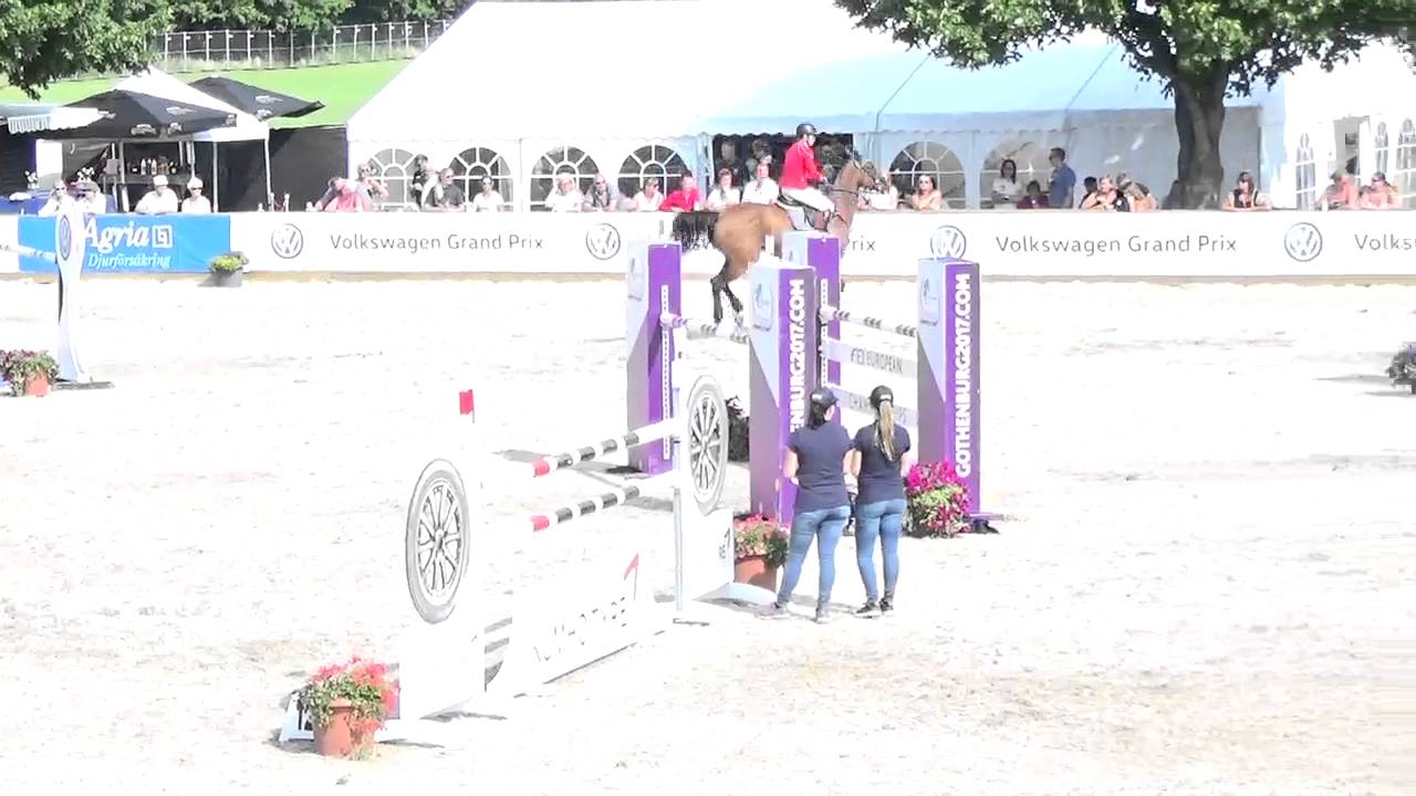 Harmonie, mare -06 by Camaro M - Irco Mena. Varberg 3* - YouTube