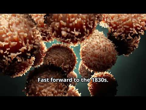 What Made It Possible For The Discovery Of Cells