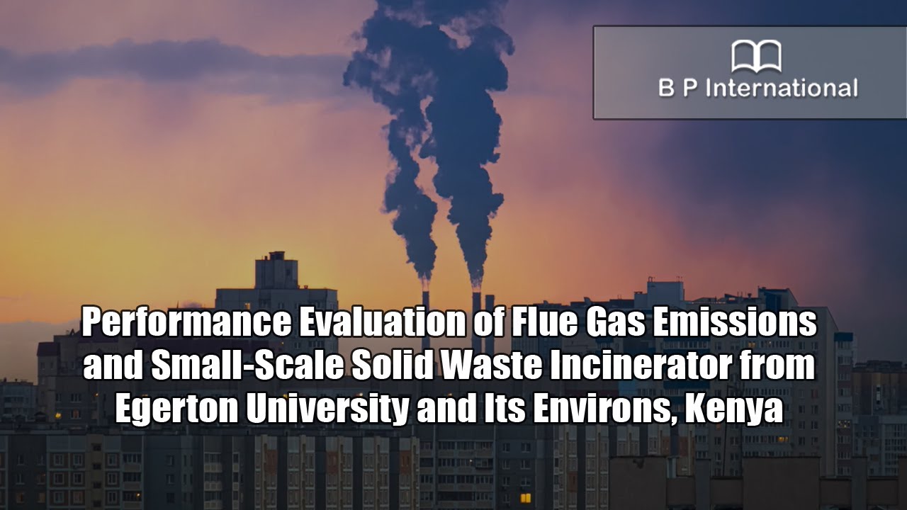 Performance Evaluation of Flue Gas Emissions and Small-Scale Solid ...
