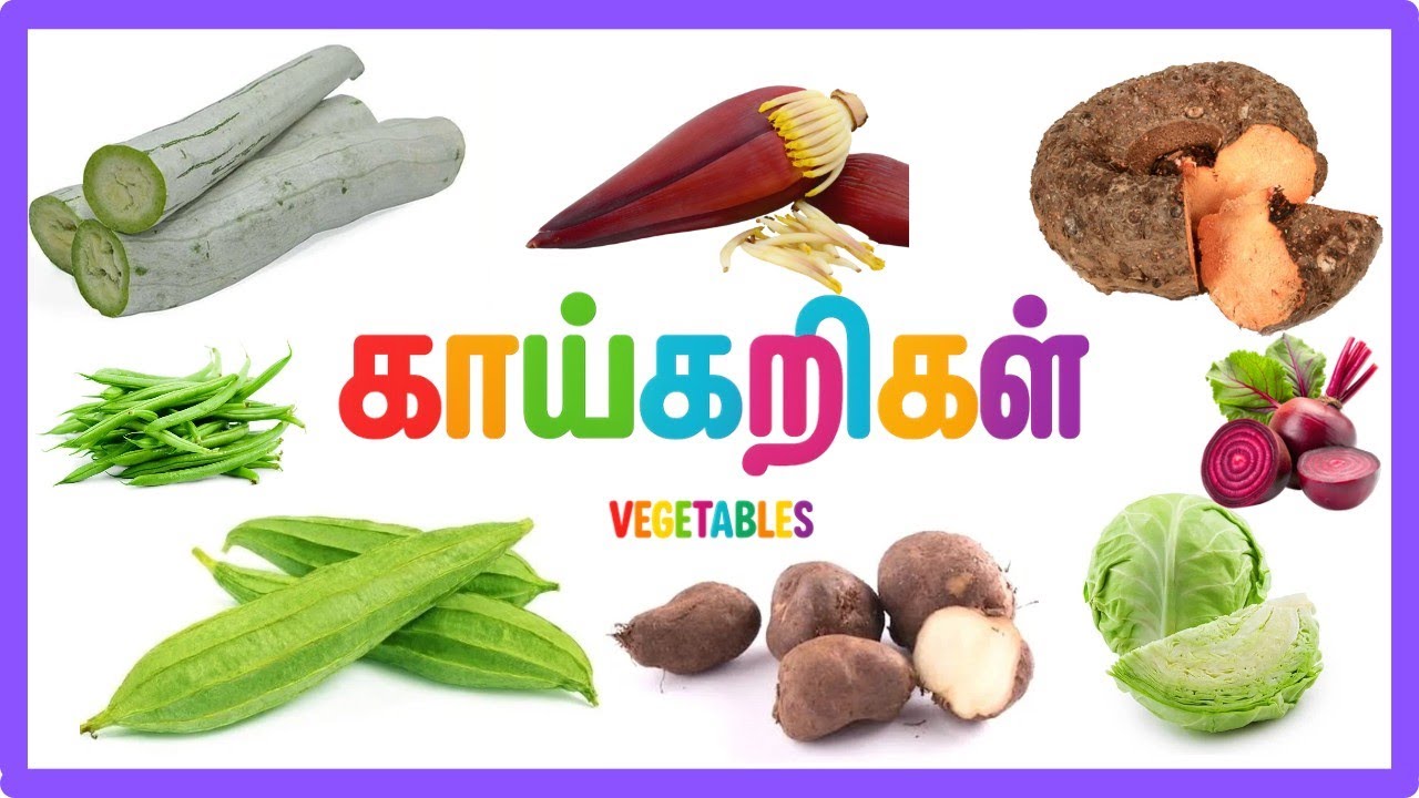 Vegetables for Kids | காய்கறிகளின் பெயர்கள் / Tamil Vegetable Names ...