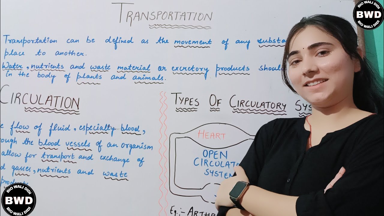 LIFE PROCESS CLASS 10 :- TRANSPORTATION. - YouTube