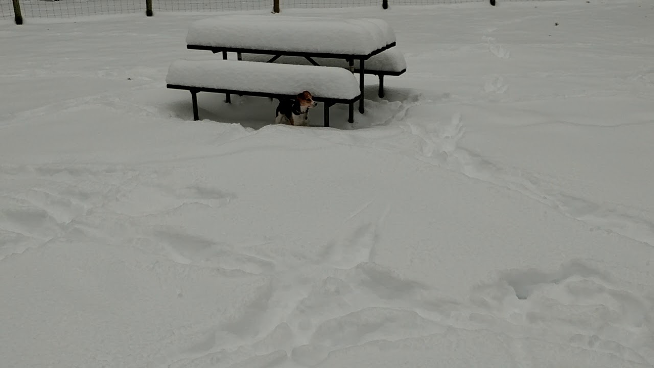 Deep snow fun! - YouTube