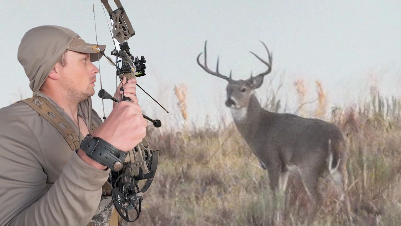 I Need This Buck to Cross the Road! - YouTube