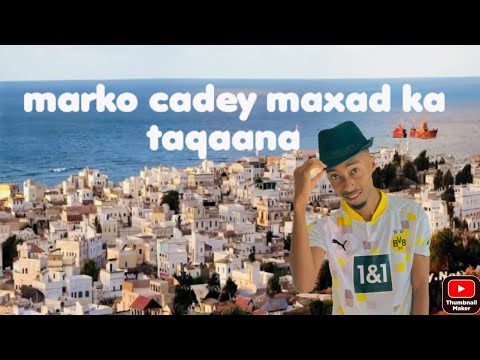 the first vlog in merca adie || Marko cadey vlog || {xafada awbaale io ...