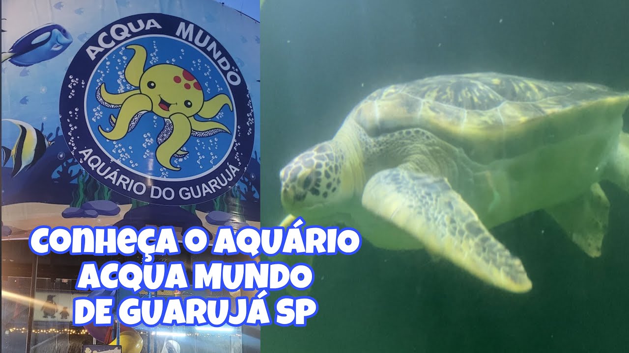 Aquário ACQUA MUNDO em Guarujá - e suas atrações - YouTube