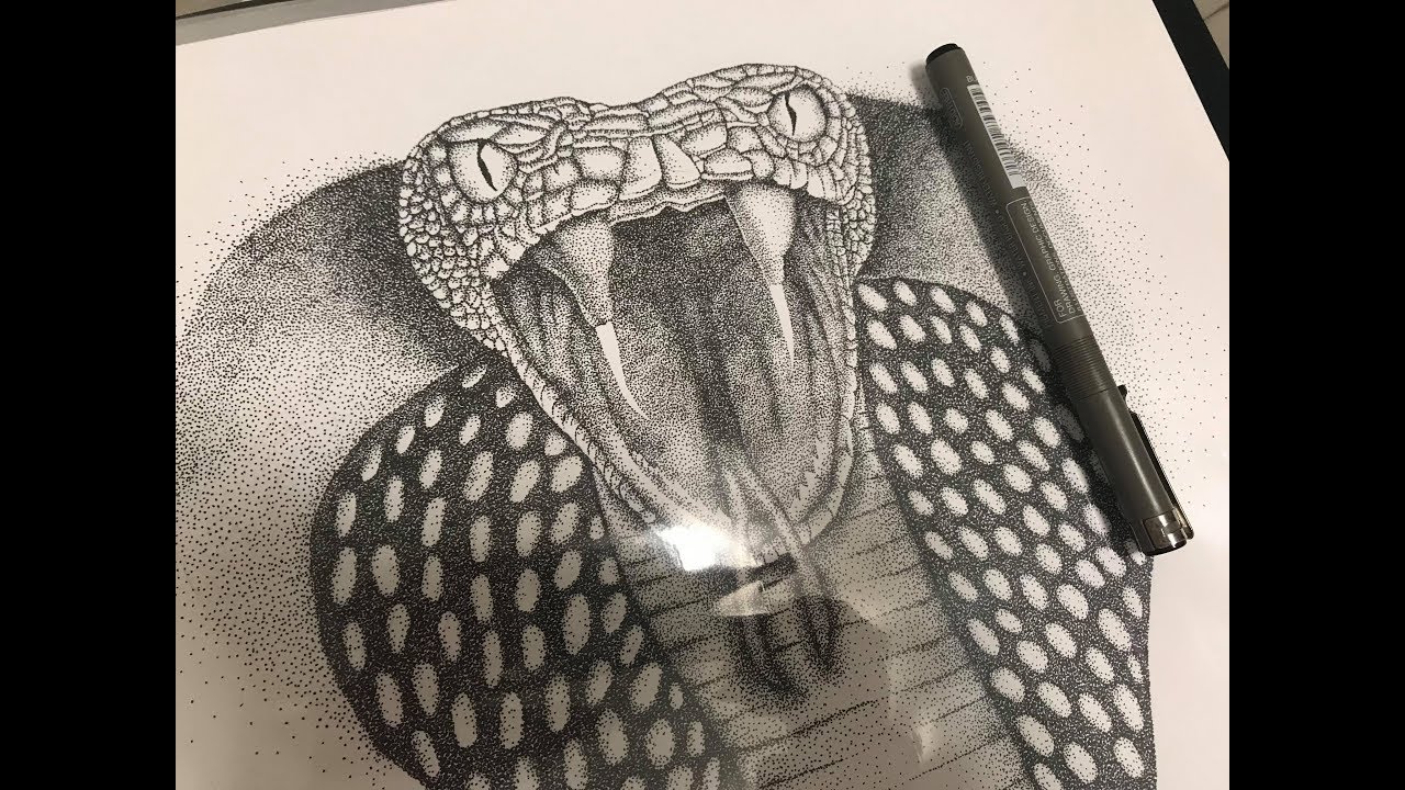 STIPPLING DRAWING: Snake - YouTube