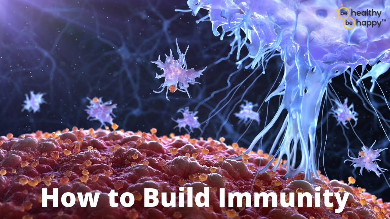The Story Behind Be Healthy! Be Happy! Immune Health Pro - YouTube
