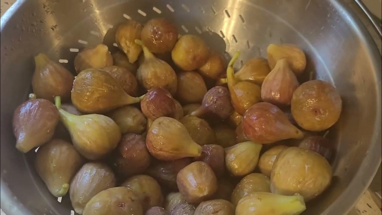 Dehydrating Figs Today - YouTube