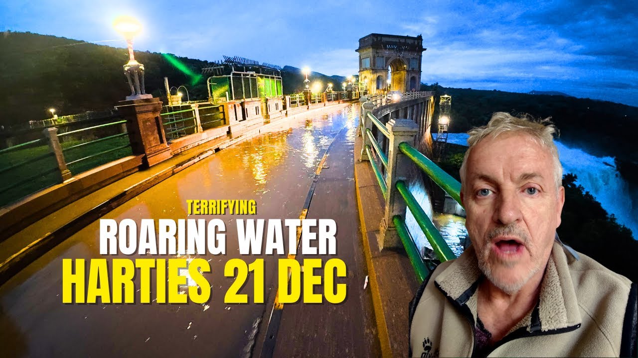 Can Coke/ Fanta- 300ml | Silver Hills Gems