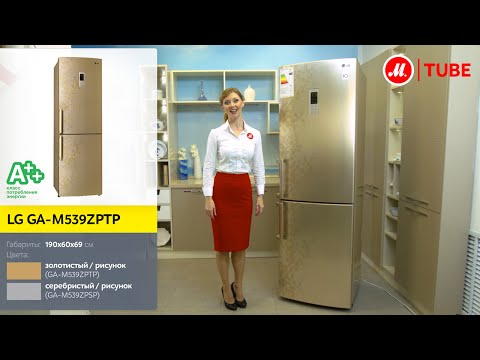 Видеообзор холодильника LG GA-M539ZPTP с экспертом М.Видео