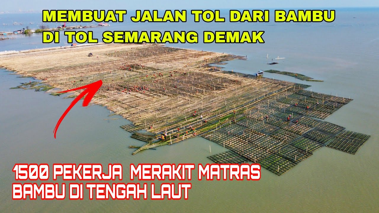 UPDATE Proses Pembuatan JALAN TOL DARI BAMBU Di Atas Laut Semarang ...