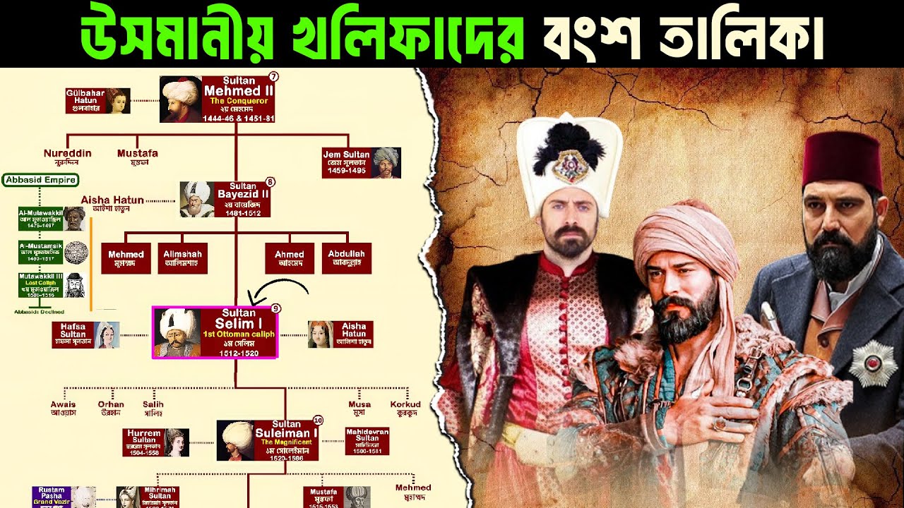 উসমানীয় খলিফাদের বংশ তালিকা | Family tree of Ottoman Caliph - YouTube