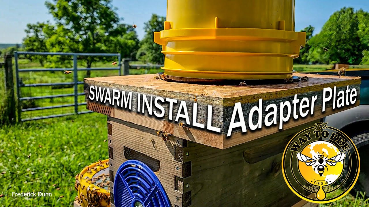 Bee Vacuum Hive Installation Adapter Plate, Install swarms in a nucleus ...