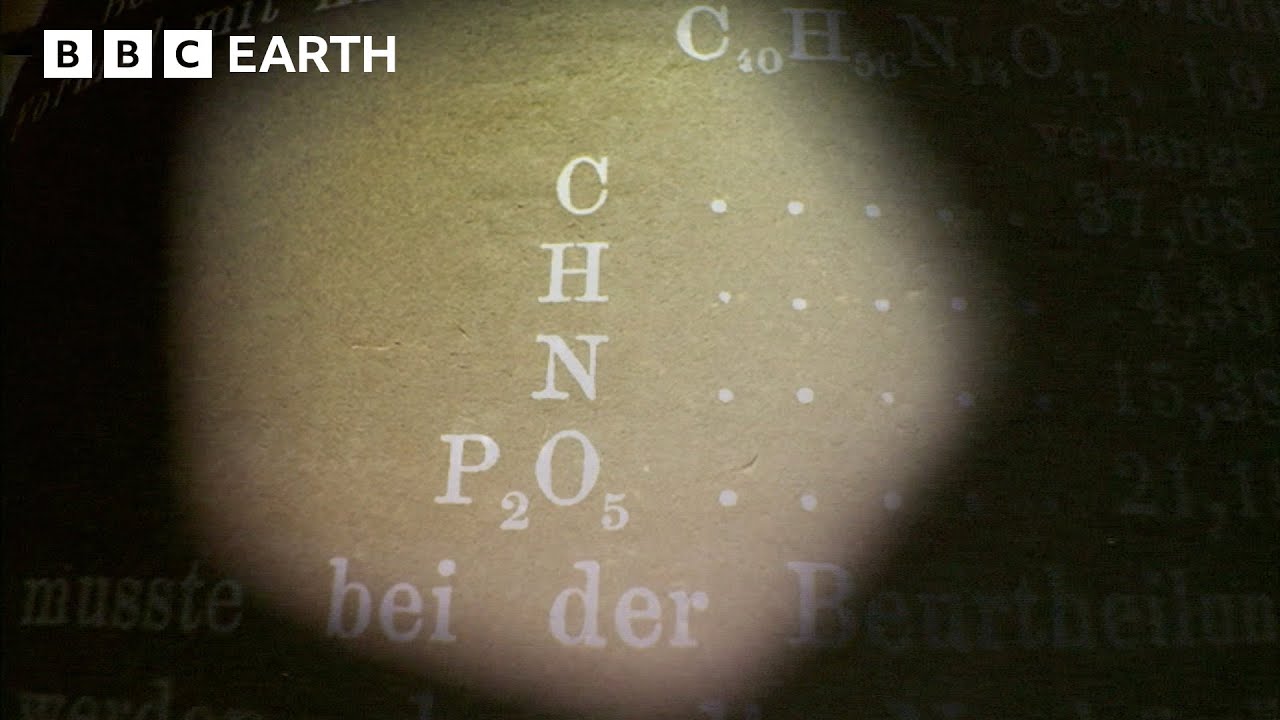 The Discovery of DNA | The Cell | BBC Science - YouTube