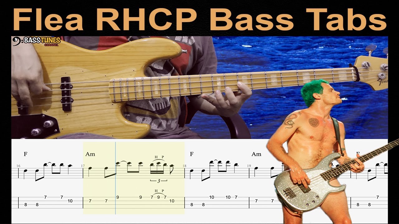 Red Hot Chili Peppers - Californication BASS COVER (with Tabs and Sheet ...