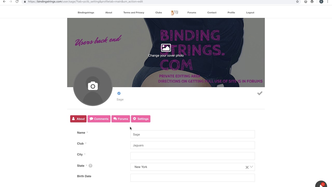 Stripper Fan Page How To Edit Binding Strings Dancer Profile - YouTube