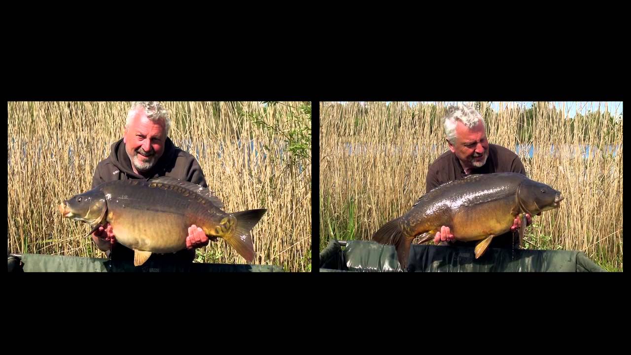 #sessionvictim Clive lands two 70lb+ Carp - YouTube