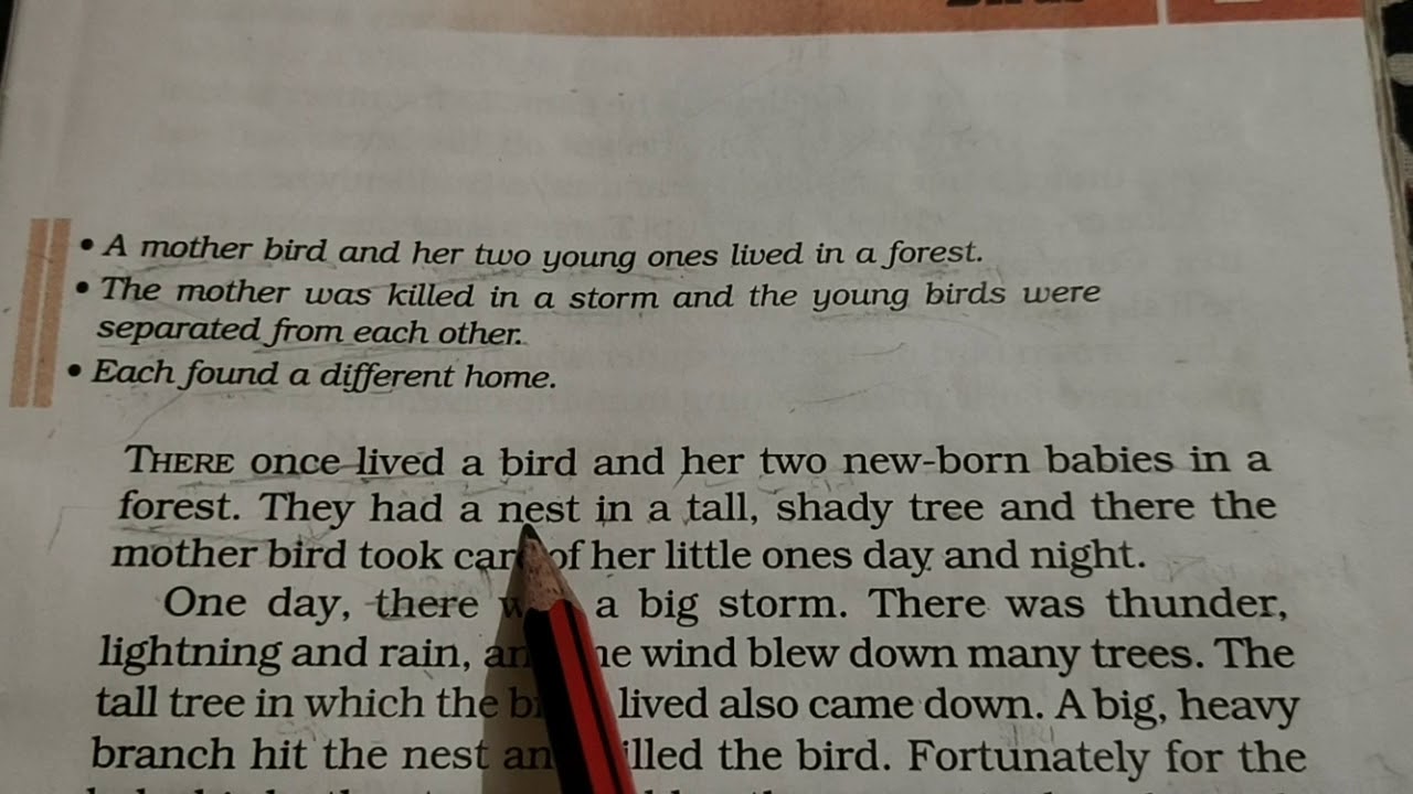 NCERT ENGLISH CLASS 6 Chapter 1 A Tale Of Two Birds Video 1 ncert-english-class-6-chapter-1-a-tale-of-two-birds-video-1