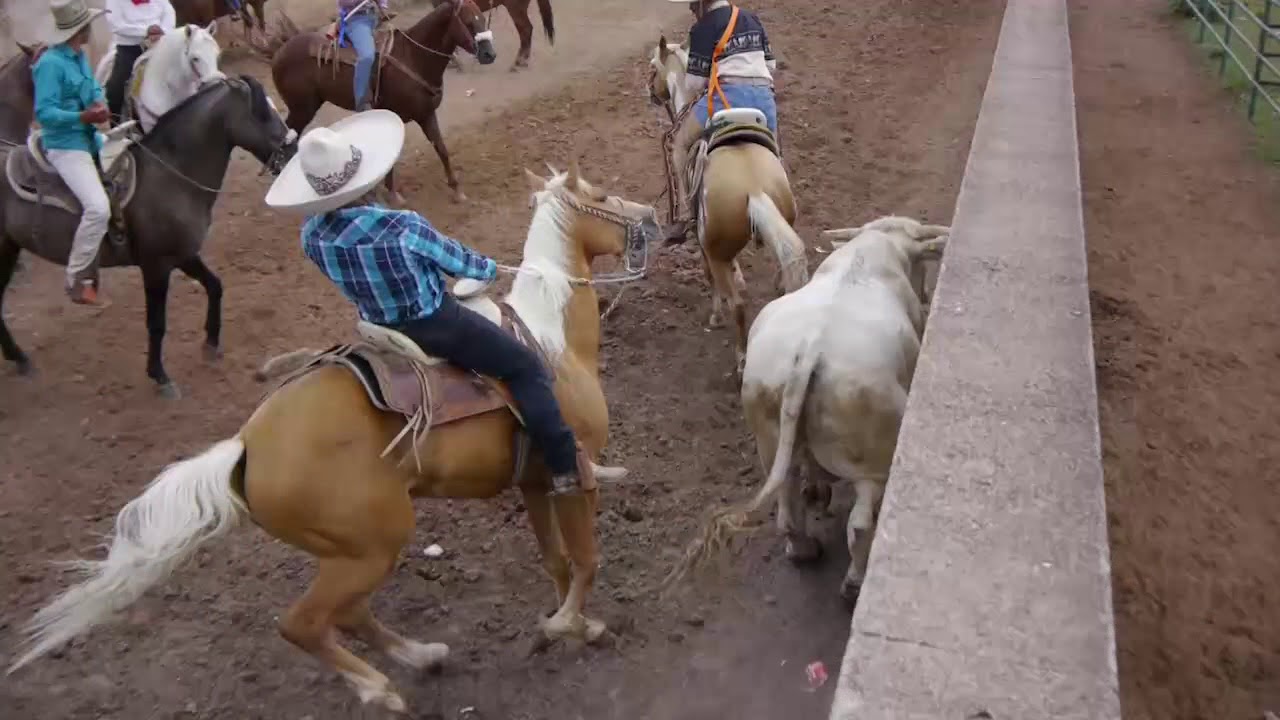 VIDEO COLEADERO JEREZ - YouTube