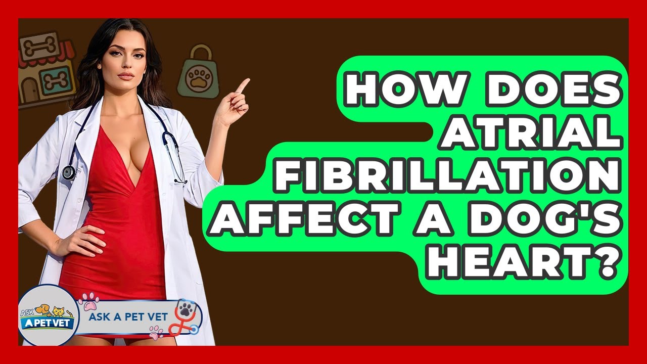 How Does Atrial Fibrillation Affect A Dog's Heart? - Ask A Pet Vet ...