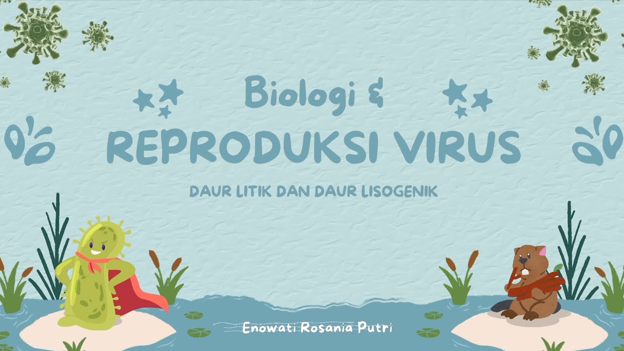 REPRODUKSI VIRUS - DAUR LITIK DAN LISOGENIK // ENOWATI ROSANIA PUTRI ...