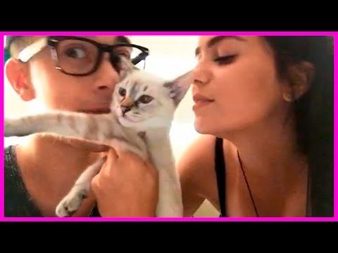 LUIS E VIIH  GRAVANDO + AMOR DE AMIGO  -  Viih Tube