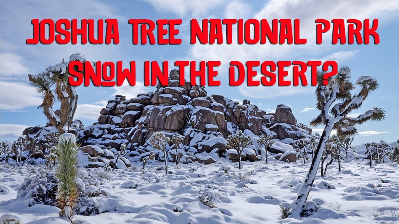 Joshua Tree National Park - SNOW in the Desert? - YouTube