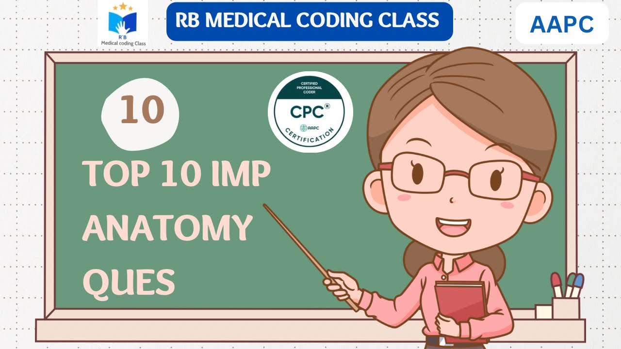 CPC exam Anatomy Repeated Questions for 2025 - 2026 // Top 10 CPC exam ...