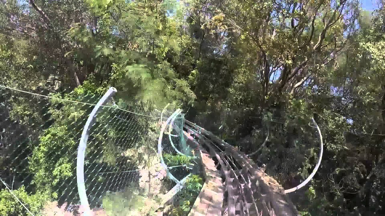 The Dragons Tail Roller Coaster LABADEE HAITI! - YouTube
